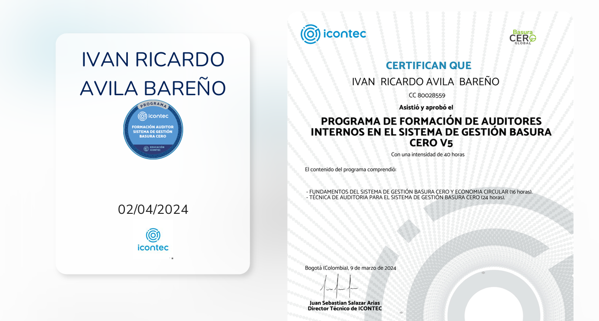 PROGRAMA DE FORMACIÓN DE AUDITORES INTERNOS EN EL SISTEMA DE GESTIÓN ...