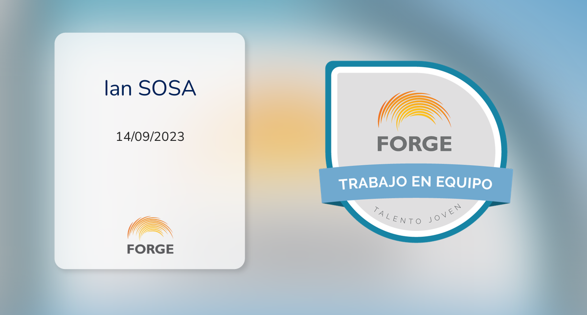 Trabajo en equipo fue emitido por Fundación Forge a Ian SOSA.